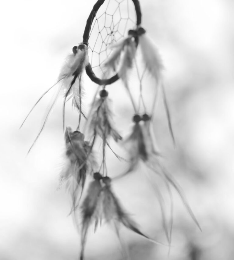 Hakomi Mindfulness Therapy: A Story In 7 Steps | Hakomi Mallorca