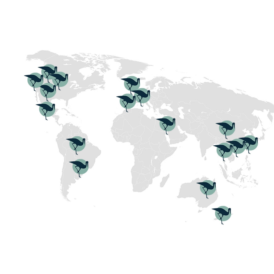 Hakomi Mindfulness Therapy: A Story In 7 Steps | Hakomi Mallorca