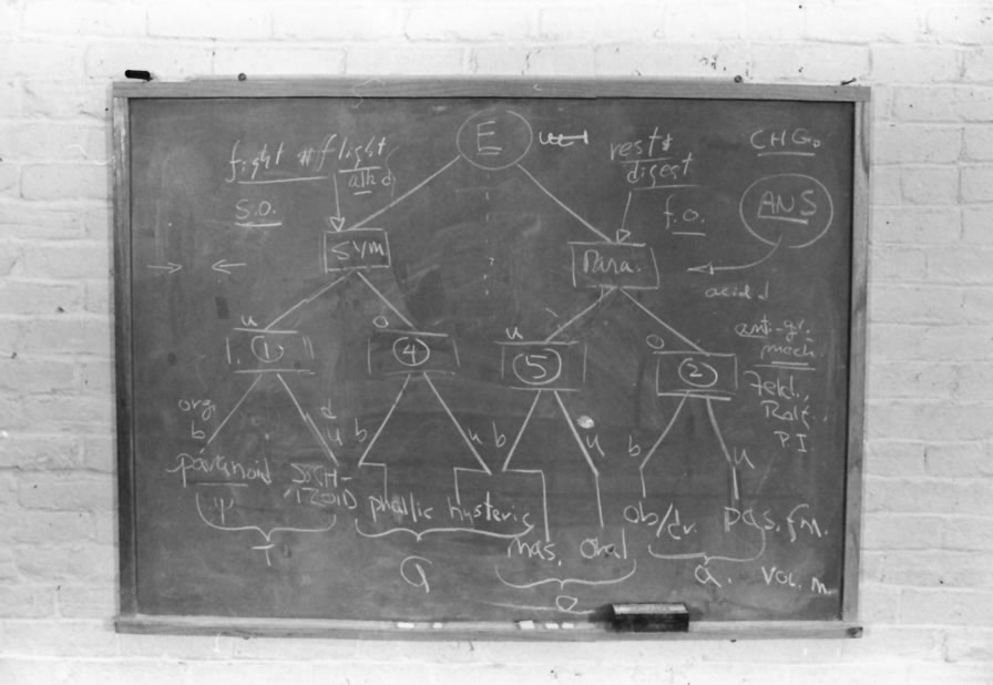 Hakomi Mindfulness Therapy: A Story In 7 Steps | Hakomi Mallorca